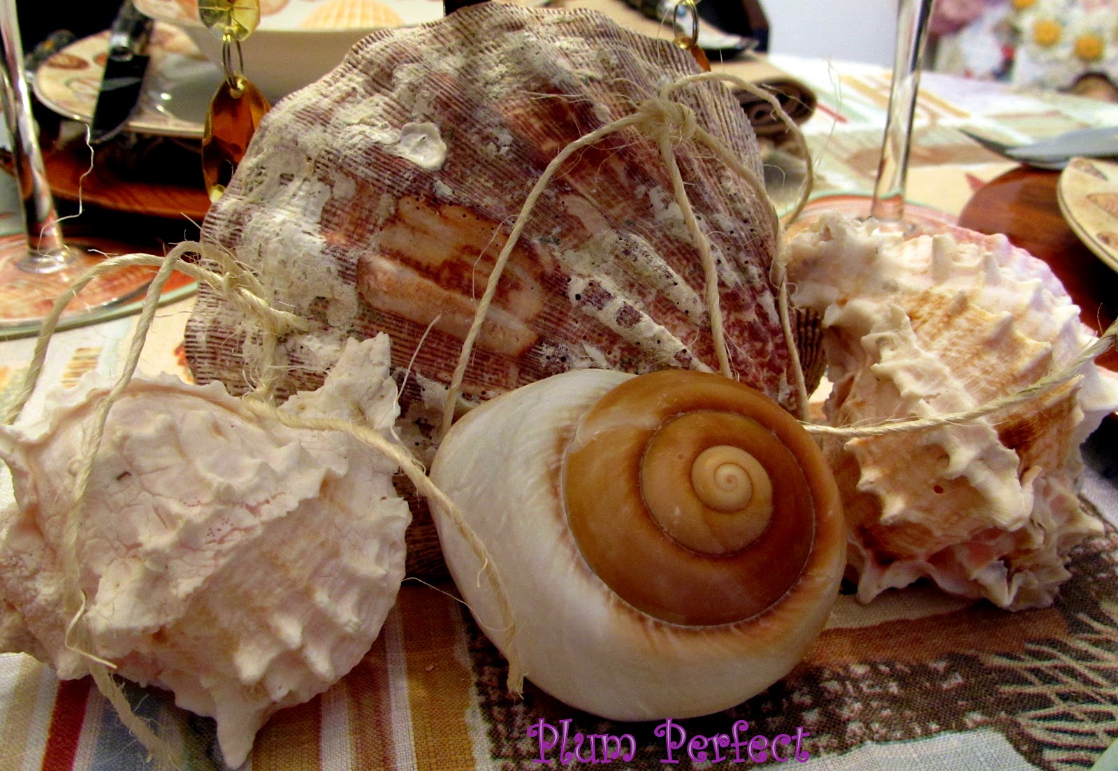 Plum Perfect: Susie's Seashell Tablescape!