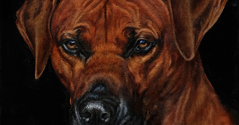 AZPAINTINGS : Oil painting of a Rhodesian Ridgeback dog