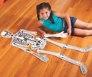 Tips for Teaching Young Children the Skeletal System | The Honorable ...