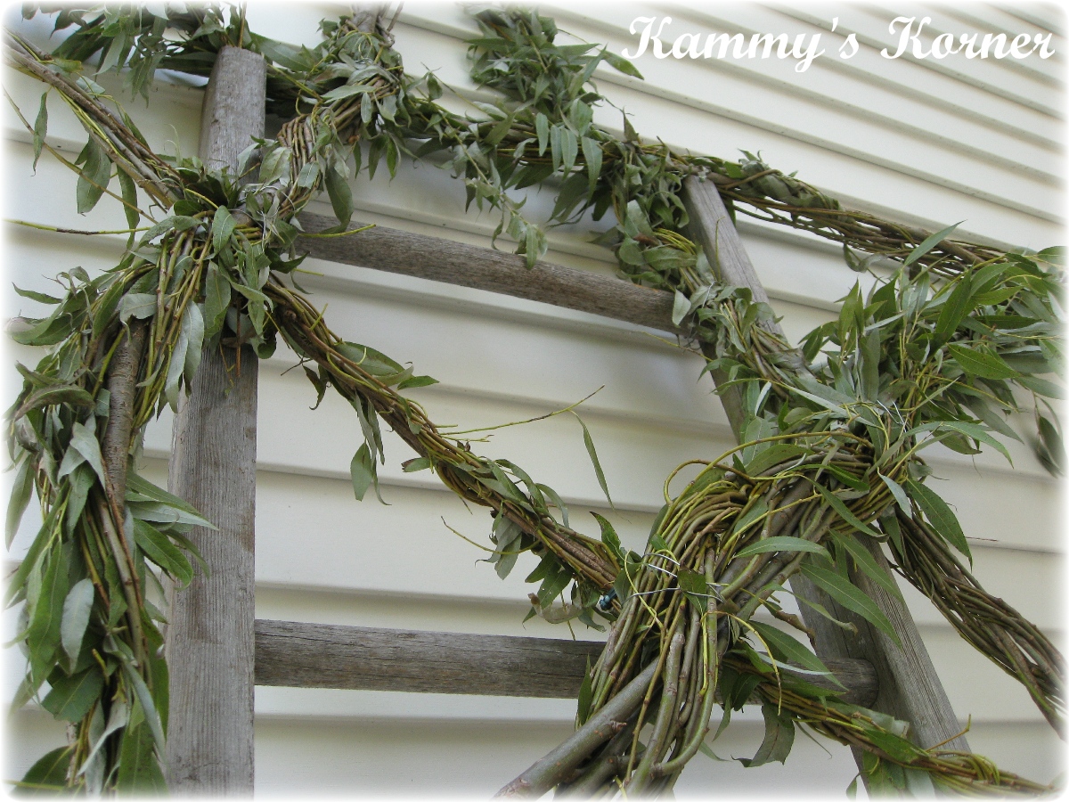 Kammy's Korner: Braided Willow Tree Star