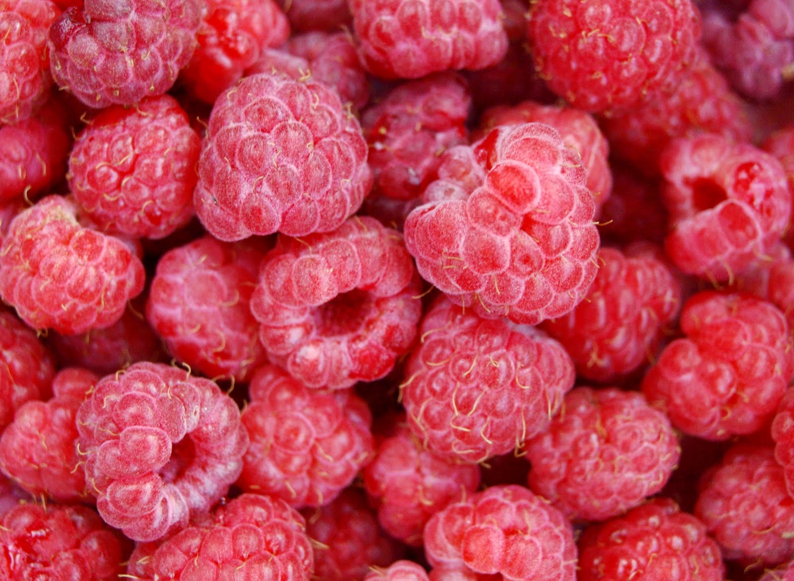 Minu tegemistest köögis: Murakad, mustikad, vaarikad ja kaneelirullid