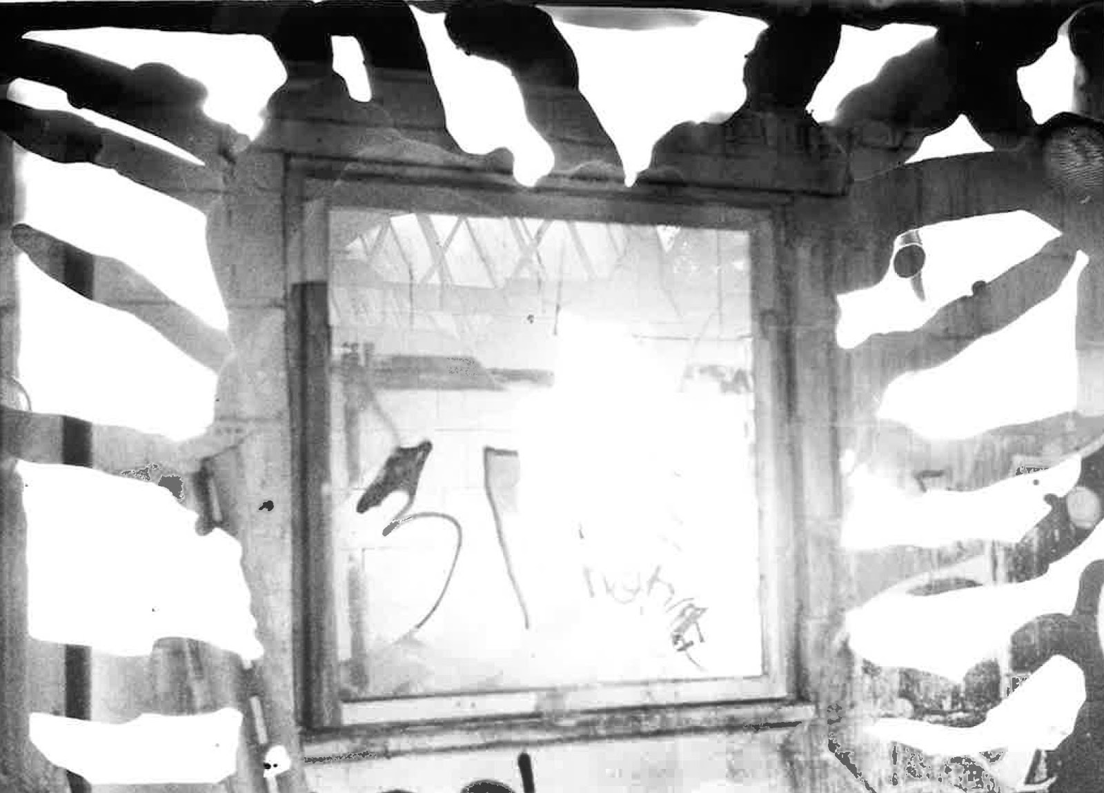 Lauren Carr: Dark Room Experiments.