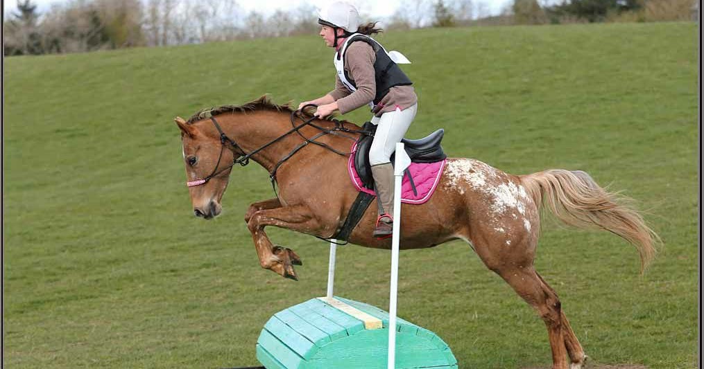 Chamfron Stud : Chamfron Firefly - First XC Competition