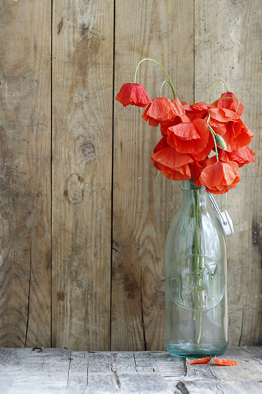 Almond Corner: Poppy Syrup