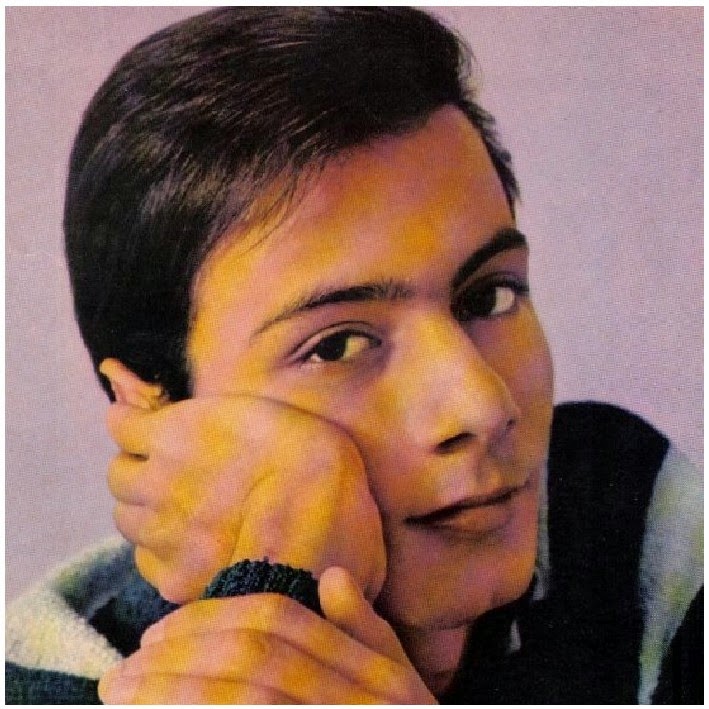 DICCIONARIO ROCKABILLY: Reynaldo Rayol (Sao Paolo, 1944)