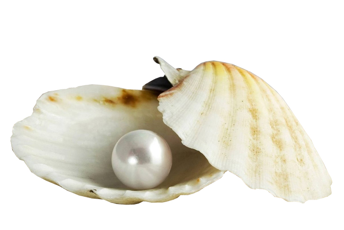 İNCİ NİN FAYDALARI