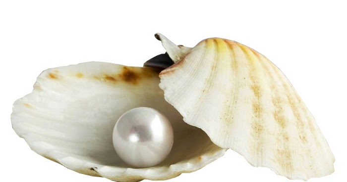 İNCİ NİN FAYDALARI