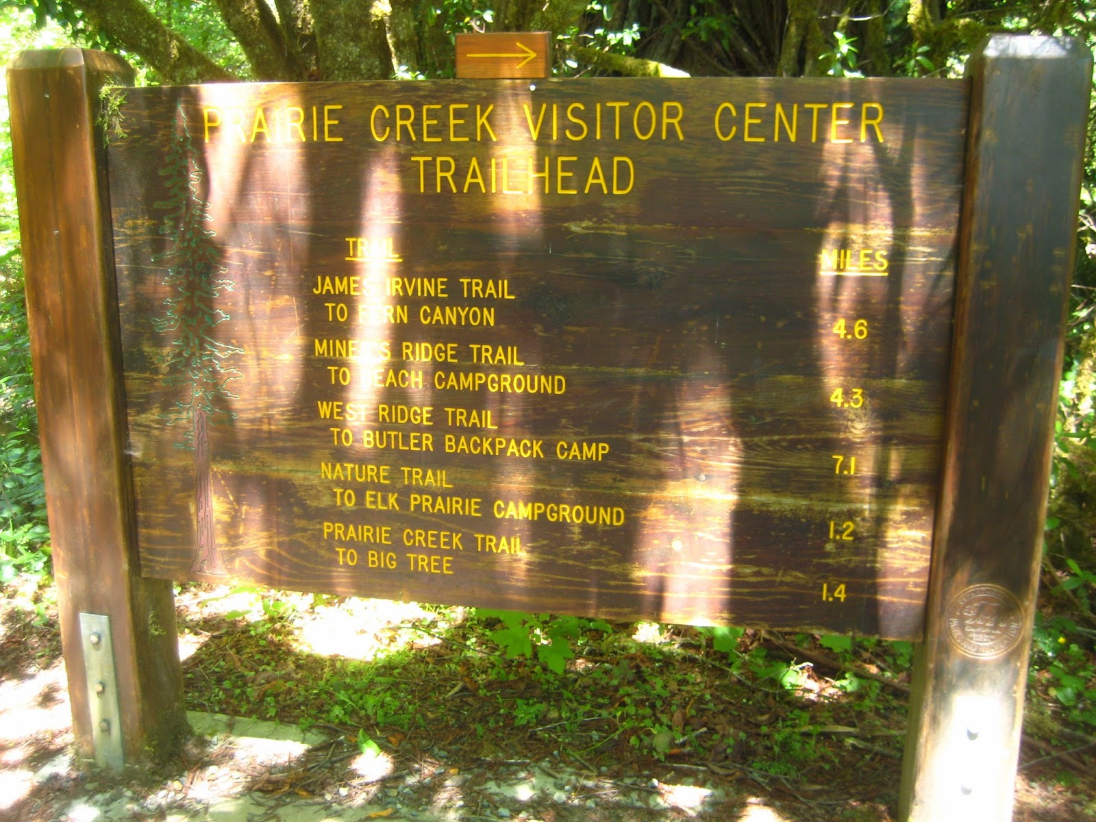 Glenn & Carol's Hiking Adventures: Big Tree Loop Trail