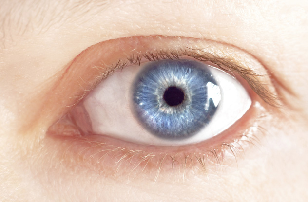 10 Fatos Curiosos Que os Nossos Olhos Revelam Sobre a Nossa Biologia ...