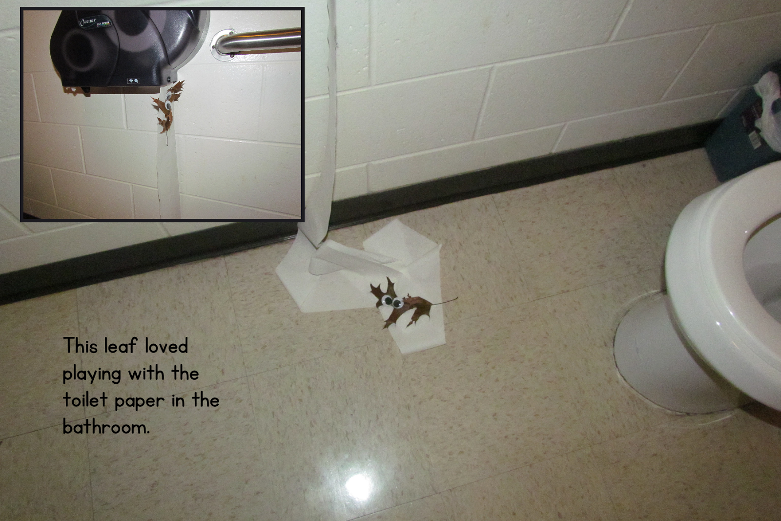 Owl Things First!: Bring a Leaf to School Day