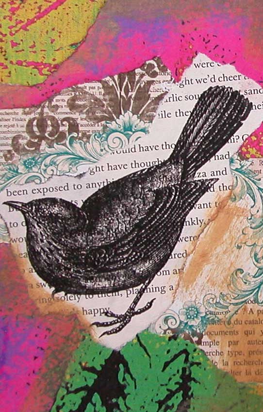 BLACKBIRD PROJECT: ROBERTO RIOS