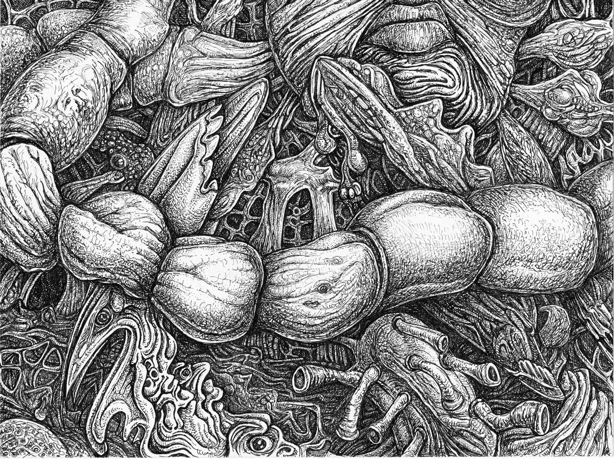 Joe MacGown's Art Blog: Surreal- Pen drawings