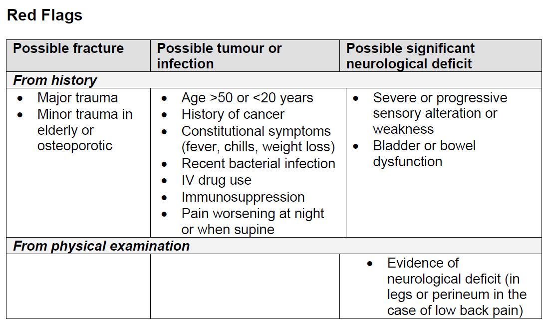 FISIOMÓNICA: Hablemos el mismo idioma: Cuestiones de Dolor Vertebral ...