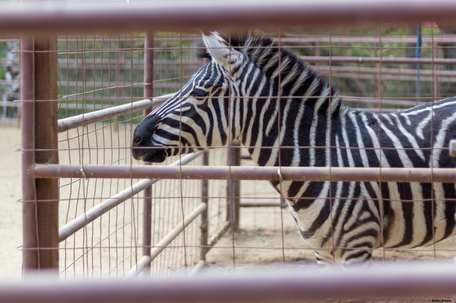 Evan's Studio: February 2018