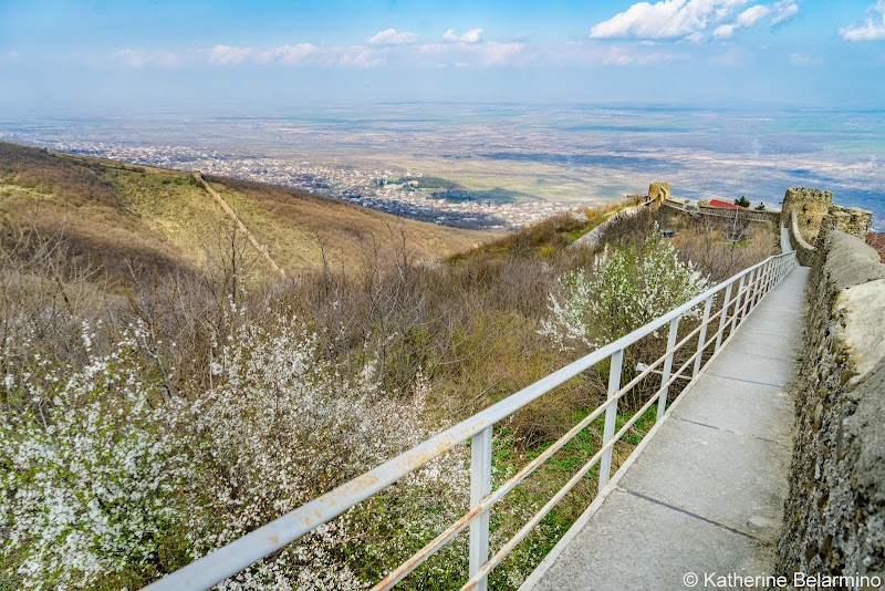 What to Do in Sighnaghi, Georgia (The Country)’s City of Love | Travel ...