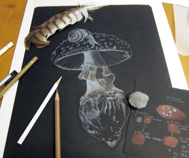 Botangle: My “Wicked Plants” Entry: Tangled Toadstool