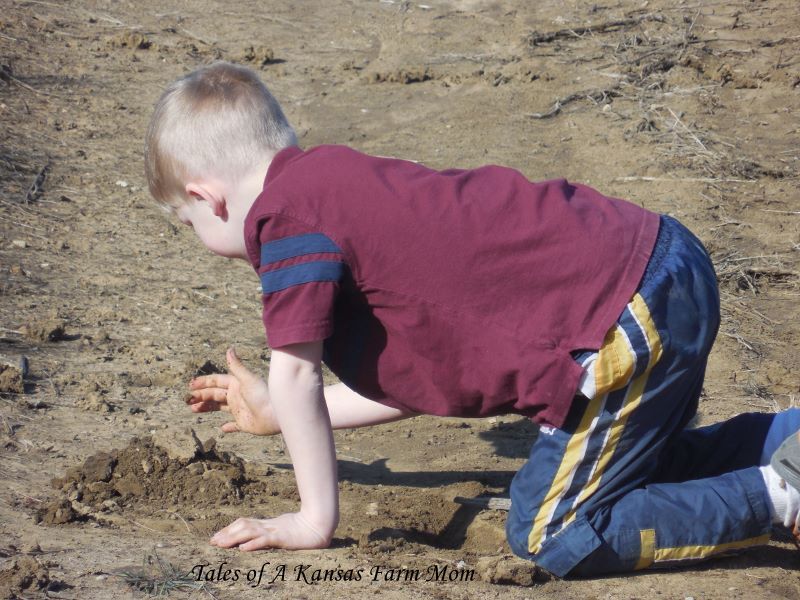 Tales of a Kansas Farm Mom: Spoon Feeding Nitrogen to Wheat