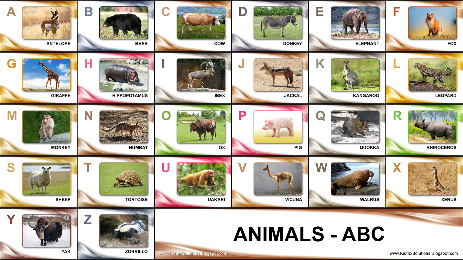 Kidtrix: Animals - ABC