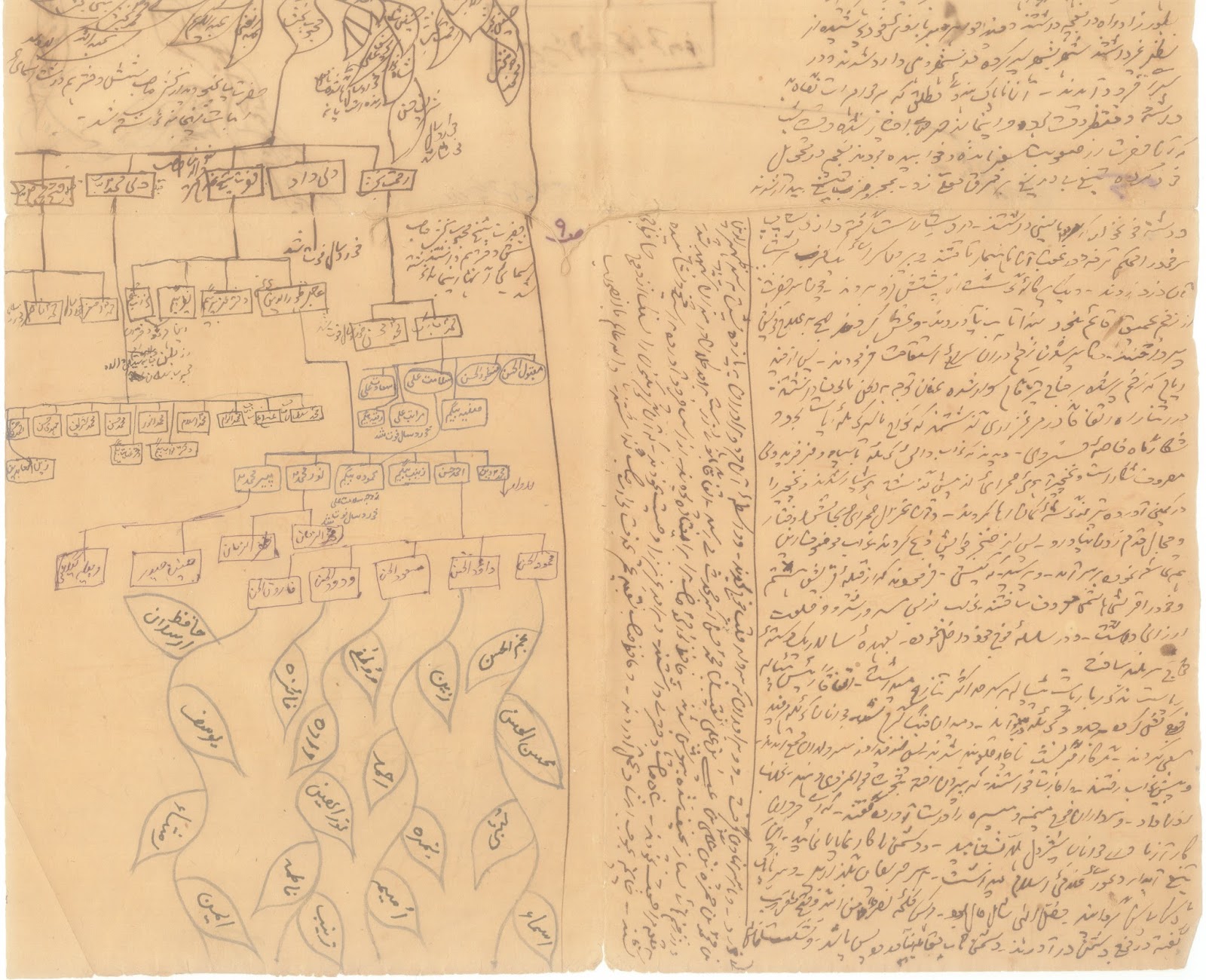 Hafiz Syed Arsalan Gilani: Family Tree of Gilani Syed - Syed Arsalan Gilani