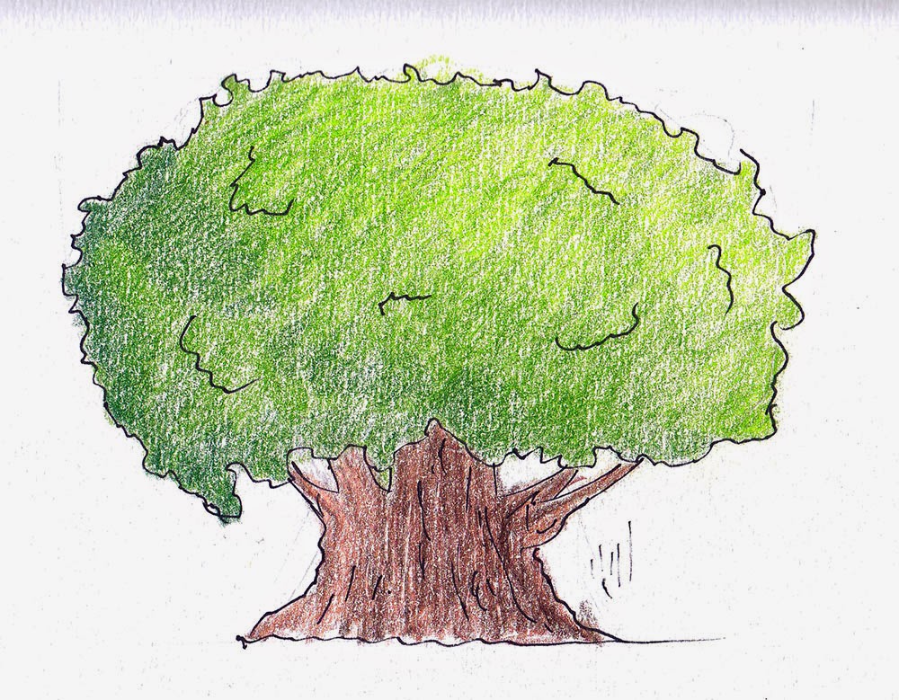 Weekly : Doodles and tuts: Drawing in 4 steps - part 3, trees and leaves.