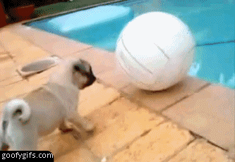 danuuutz : Epic software fail