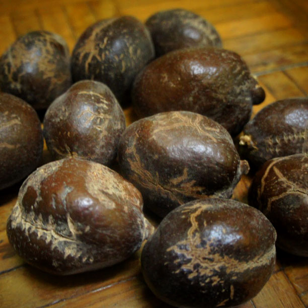 What the Fruit Zuriat And What Its Worth | Yeshealth