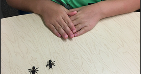 Kindergarten and Mooneyisms: How Many Am I Hiding? Math Game