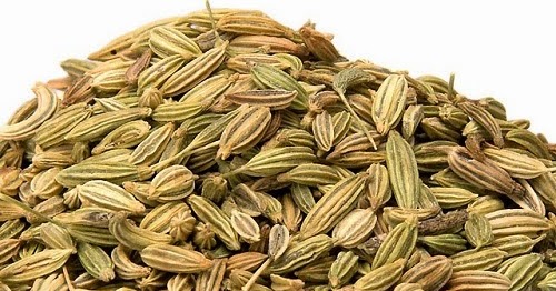 Manfaat Biji Dan Tanaman Adas: Tanaman Adas