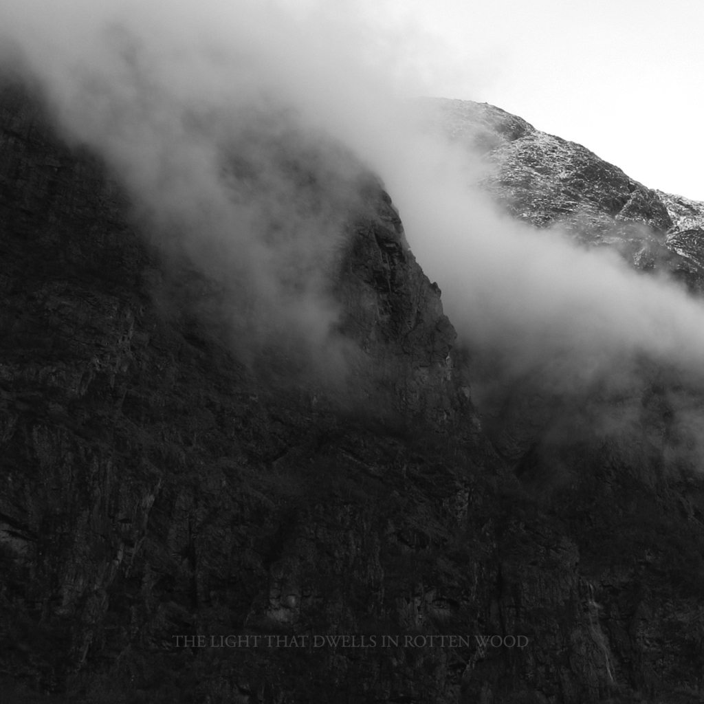 -: Falls of Rauros - The Light That Dwells in Rotten Wood (2011)