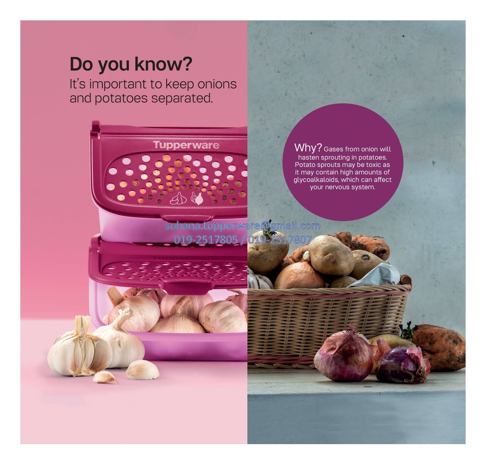 Tupperware Brands Malaysia Online | Catalogue | Collection | Business ...