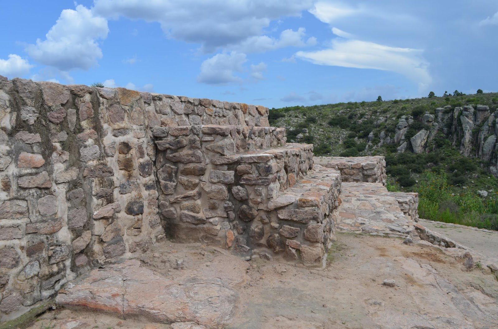 El Jardin de la Republica: El Cóporo