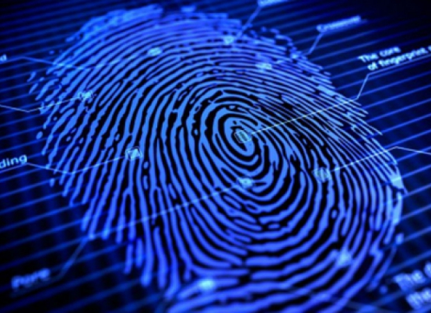 4 Fakta Unik Tentang Sidik Jari yang Wajib untuk Kamu Ketahui - Portal ...