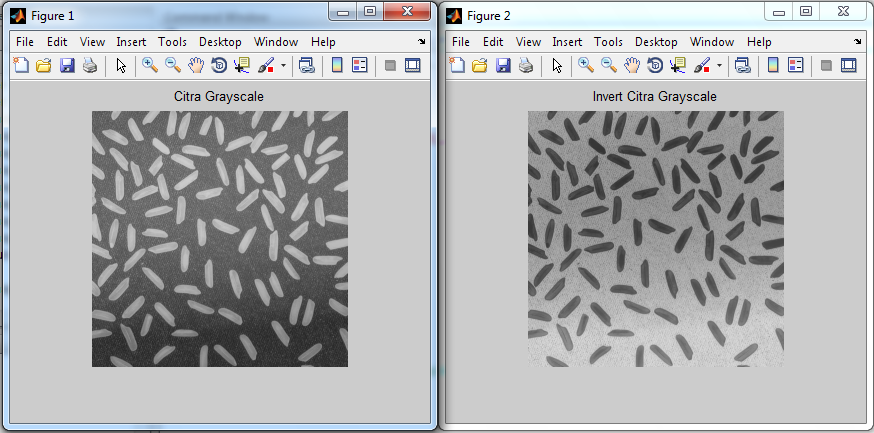 ErliaShare: MATLAB : Invert dan Flip Image