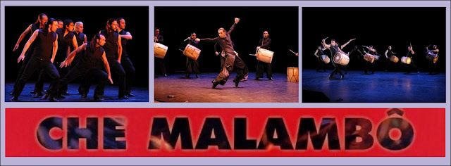 Yann Rouzic: CV en français