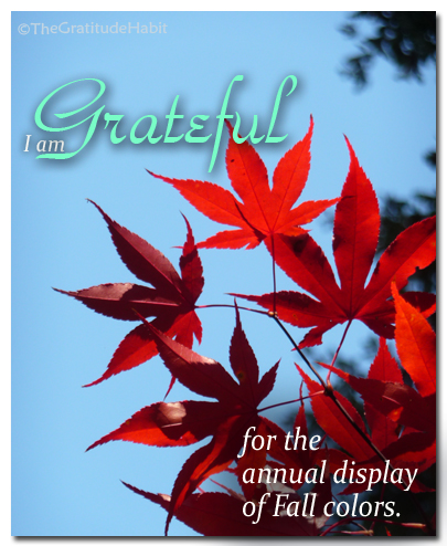 The Gratitude Habit Journal: Grateful for Fall Colors