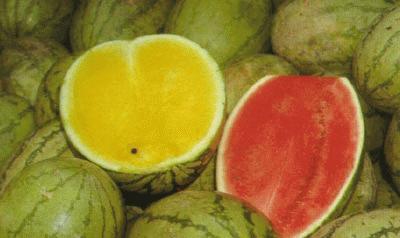 Buah-buahan Tempatan