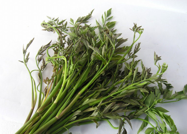 Manipurian: Wild but Edible Plants of Manipur