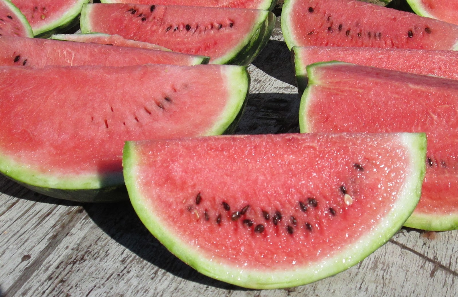 The Garden Gate: February 2016