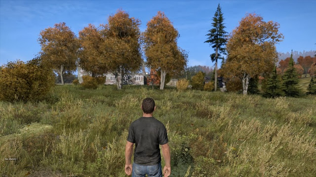 "DayZ" Standalone Alpha Review and Upcoming Features | RisenFallRec