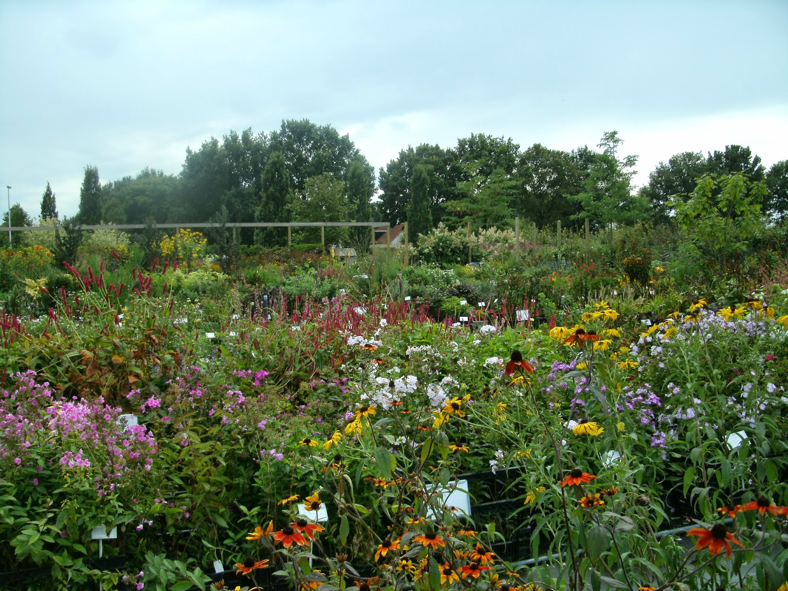 ANDERSON COTTAGE: Bloementuin, genieten van het leven......