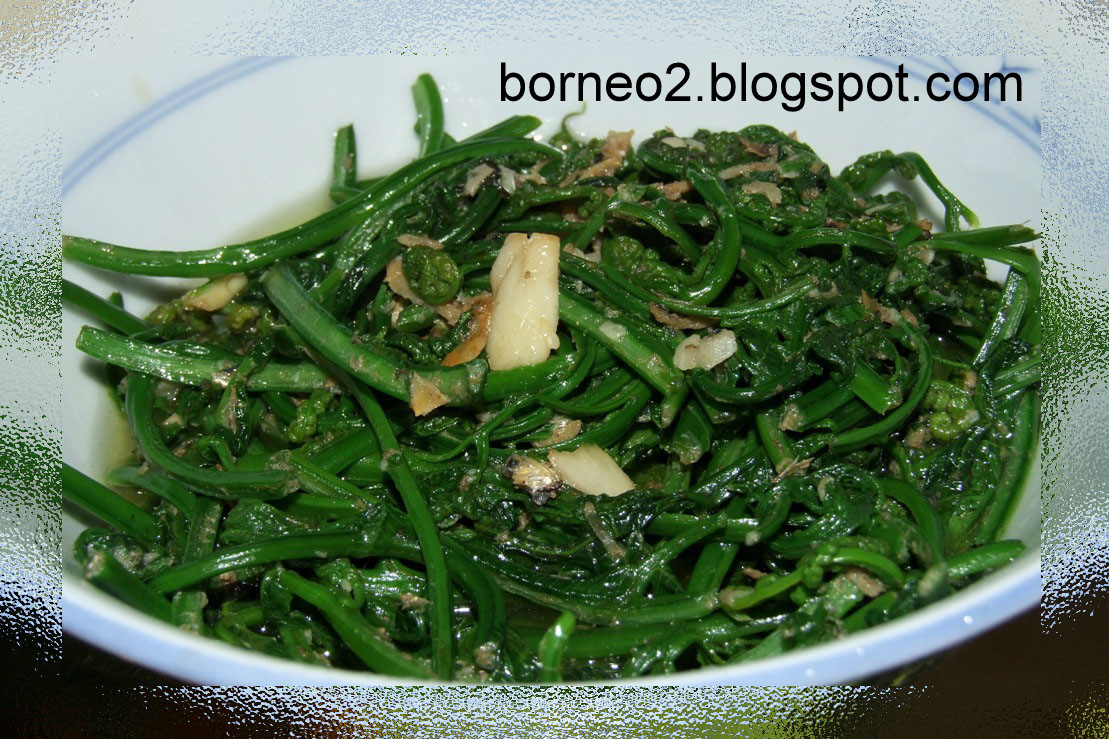 Borneo Island, Awaken To A Different World: Jungle Fern (Cooked) - Midin