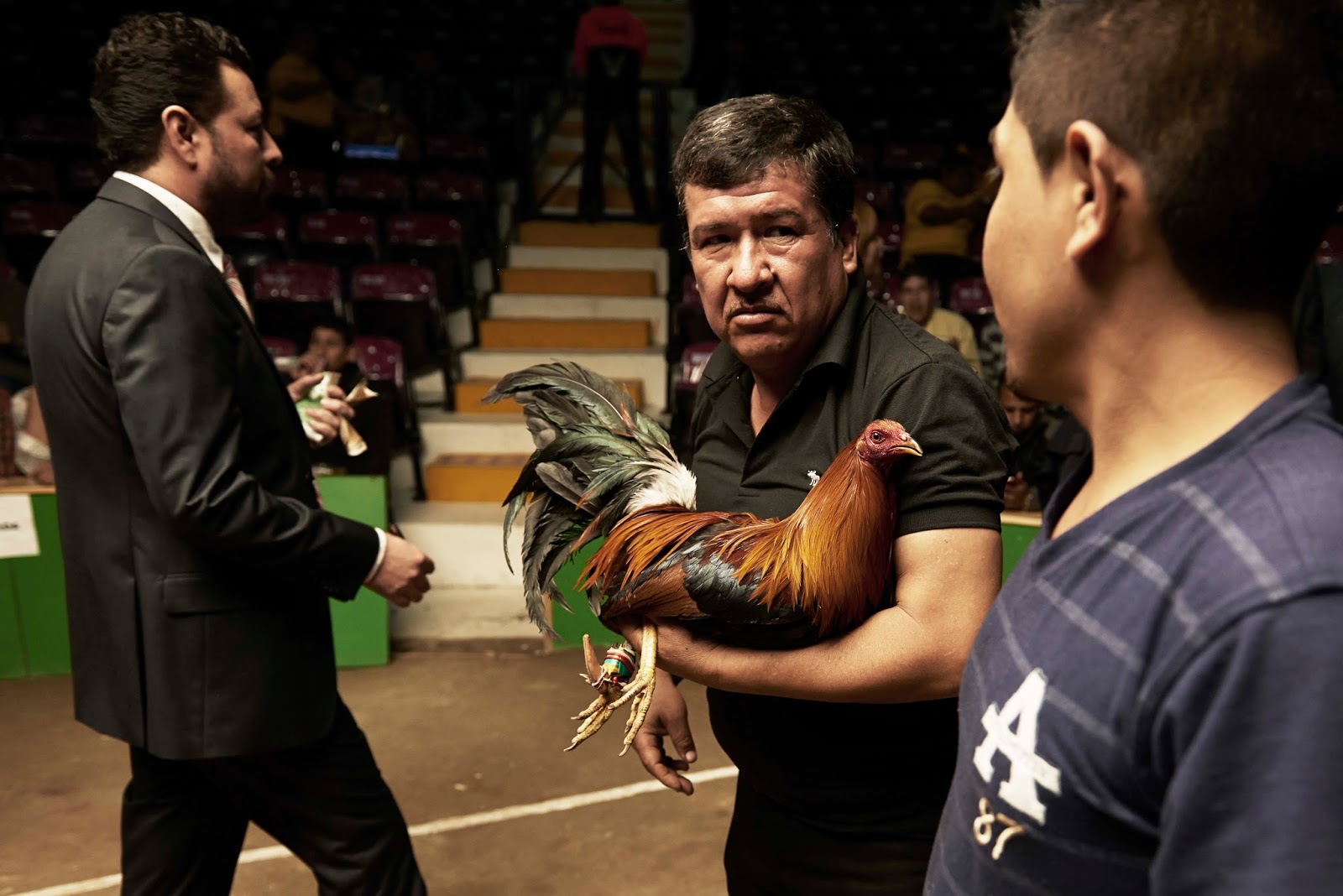 Los galleros de México