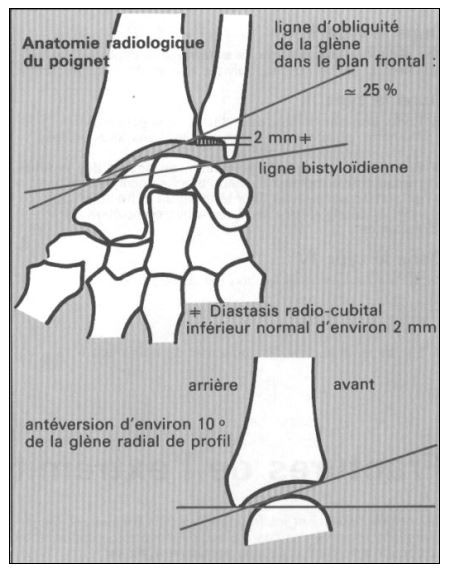 Un médecin du sport vous informe