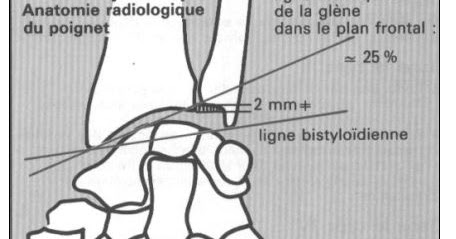Un médecin du sport vous informe
