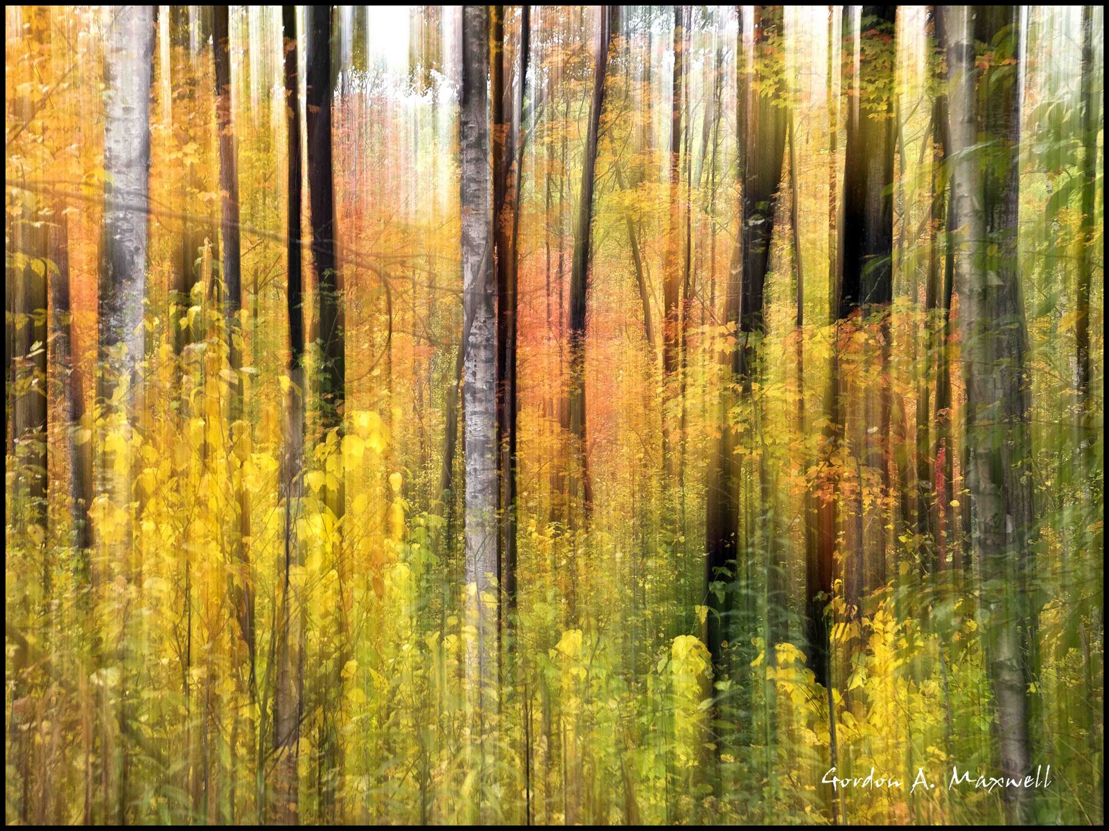 Gordon Maxwell Photography: Abstracts