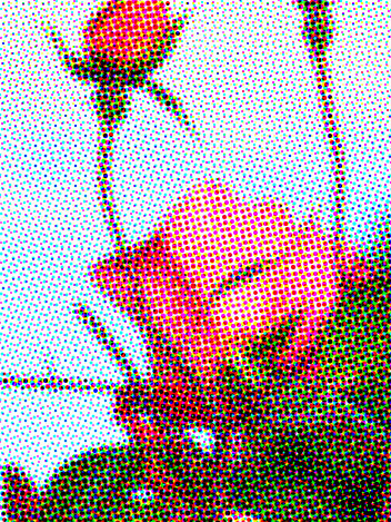 Screenprinting Halftones and CMYK