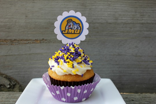 Me and My Pink Mixer: JMU Football Tailgate Snacks