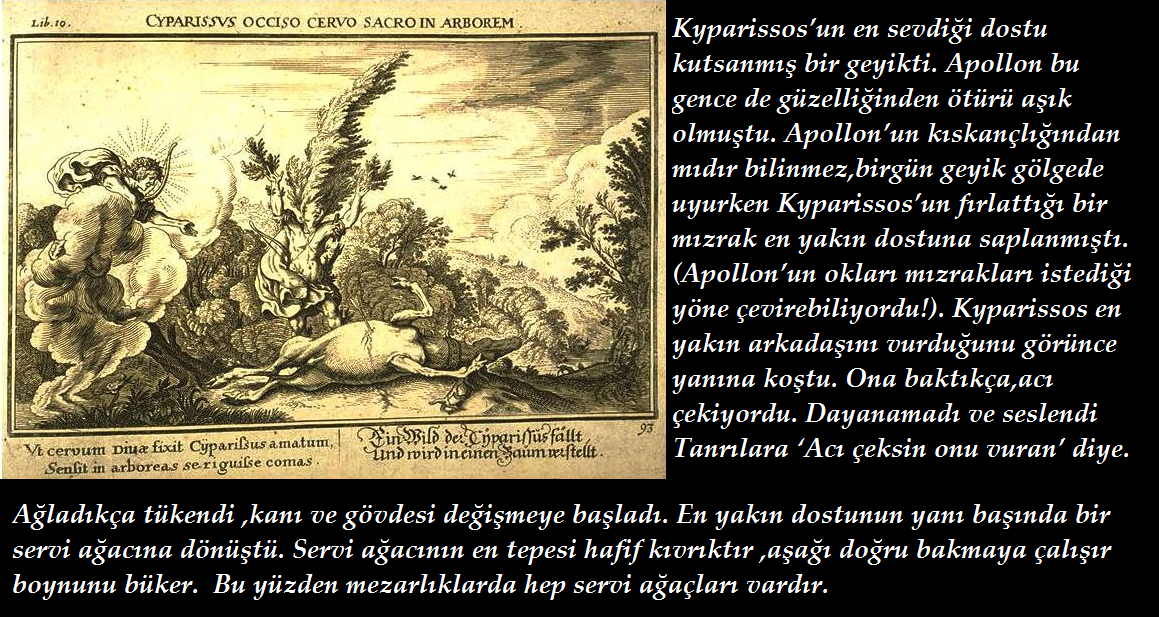 PROMETHEUS: HAYAT AĞACI - DOĞUM, YAŞAM, ÖLÜM