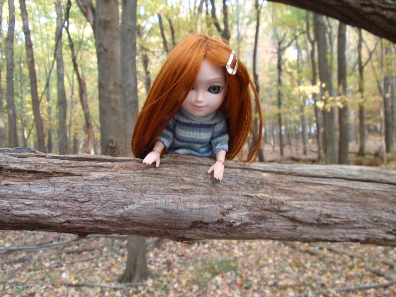 My Little Doll Corner: 2015