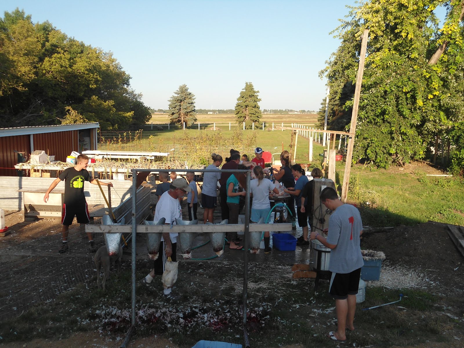 Enoch Farm Happenings